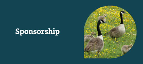 corporate sponsorship | Derbyshire Wildlife Trust