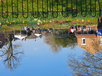 Wild Wellbeing Celebration Event at Derby Arboretum | Derbyshire ...