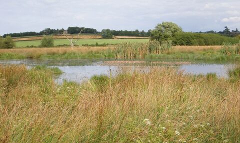 Erewash Valley Living Landscape | Derbyshire Wildlife Trust