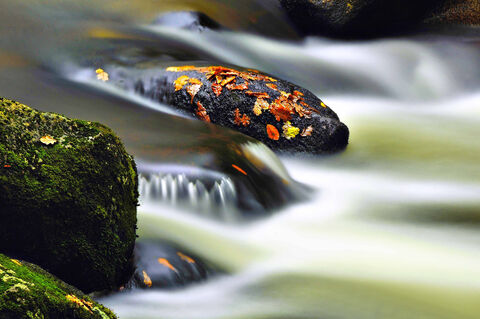 The River Erewash – Derbyshire’s wandering wonder | Derbyshire Wildlife ...