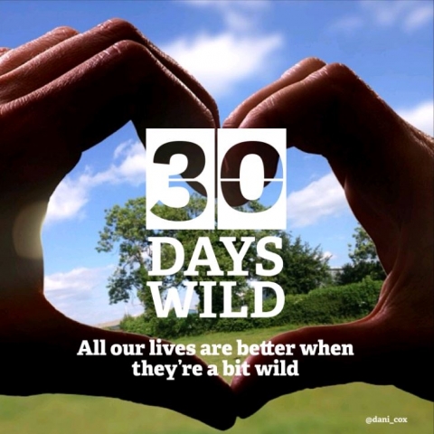 Derbyshire Wildlife Trust: Care Homes’ Experiences of 30 Days Wild ...