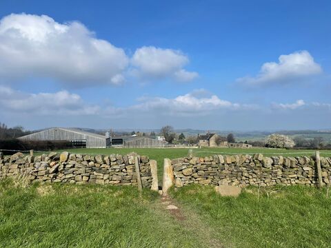 Common Farm | Derbyshire Wildlife Trust