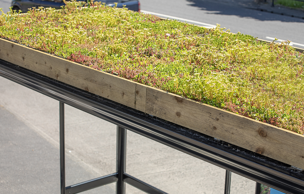 Derby buzzing about new Bee Bus Stops | Derbyshire Wildlife Trust