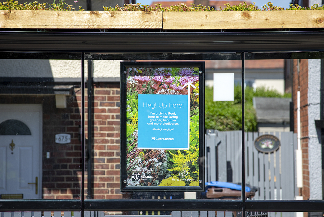 Derby buzzing about new Bee Bus Stops | Derbyshire Wildlife Trust