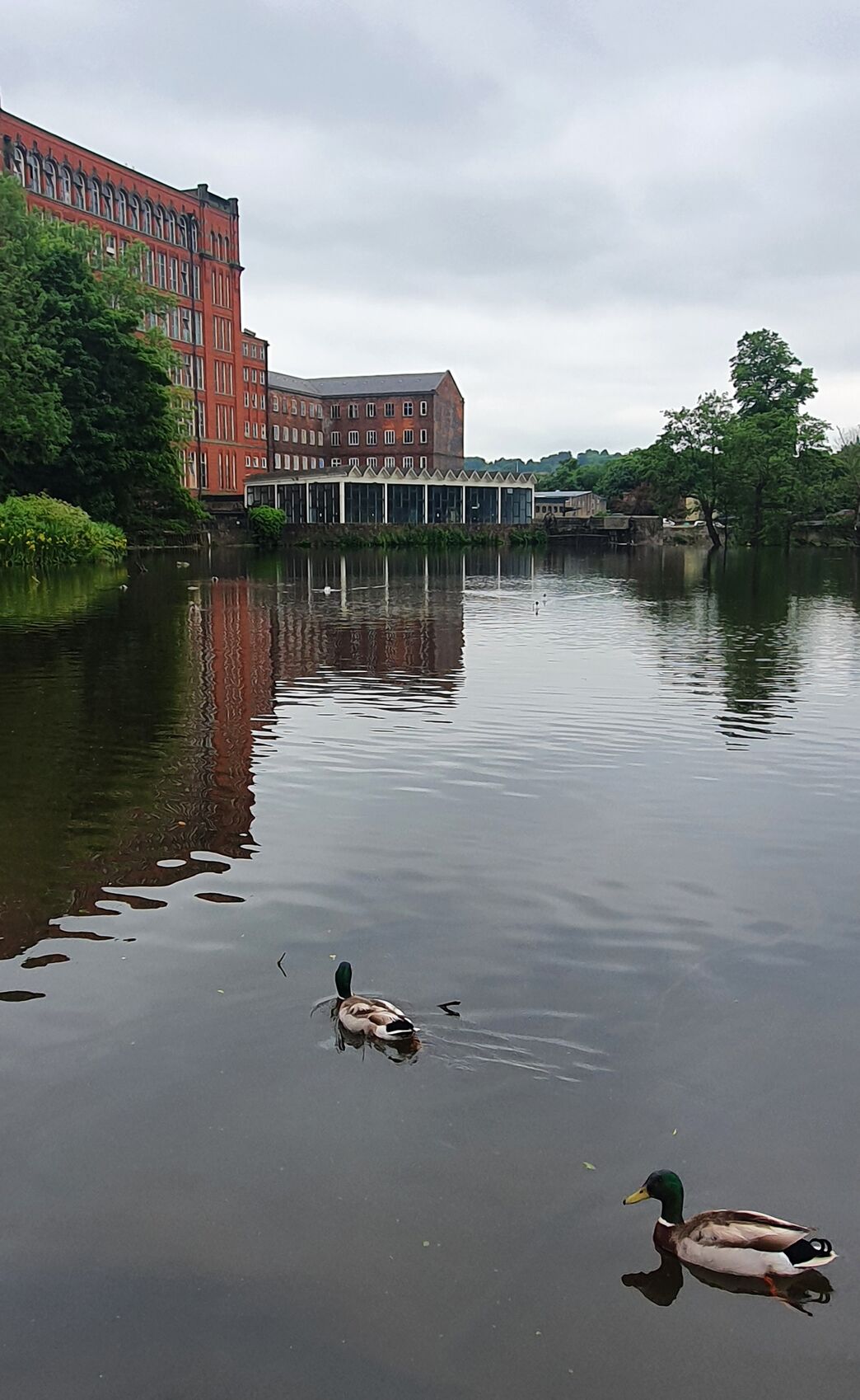 Connecting to the Heritage of the Derwent Catchment | Derbyshire ...