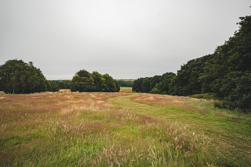 Rewilding of Allestree Park awarded £1.1 million to deliver community’s ...