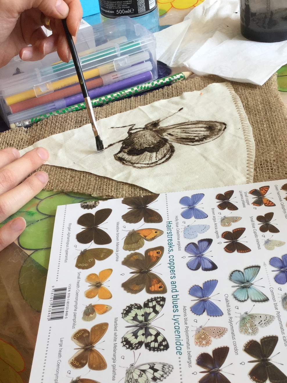 Memory Boxes | Derbyshire Wildlife Trust