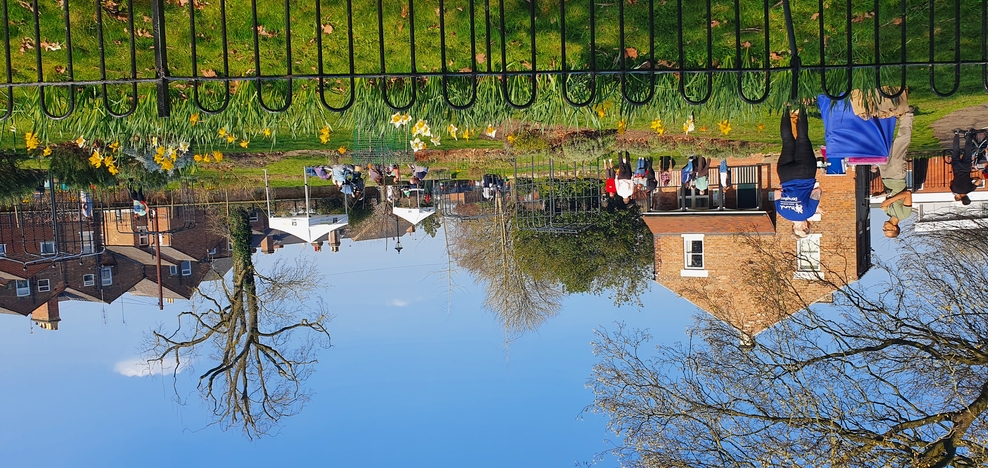Wild Wellbeing Celebration Event at Derby Arboretum | Derbyshire ...
