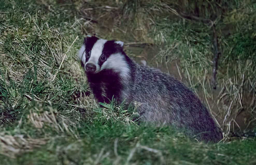 Creating a Wildlife Pond | Derbyshire Wildlife Trust