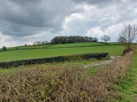 Trust launches appeal to reclaim more space for people and nature in ...