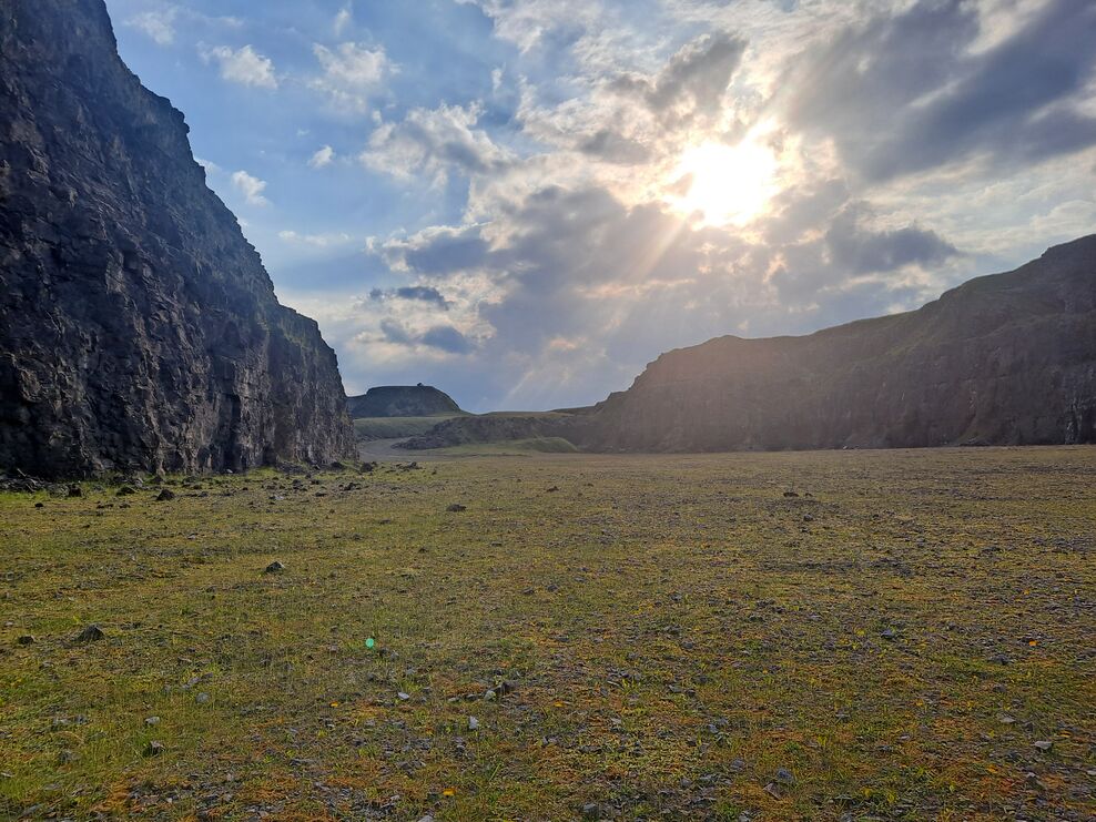 Eldon Hill Quarry | Derbyshire Wildlife Trust