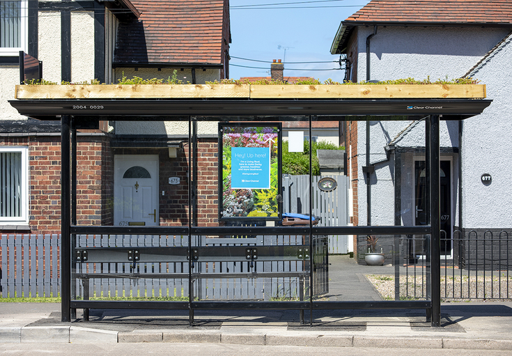 Derby buzzing about new Bee Bus Stops | Derbyshire Wildlife Trust
