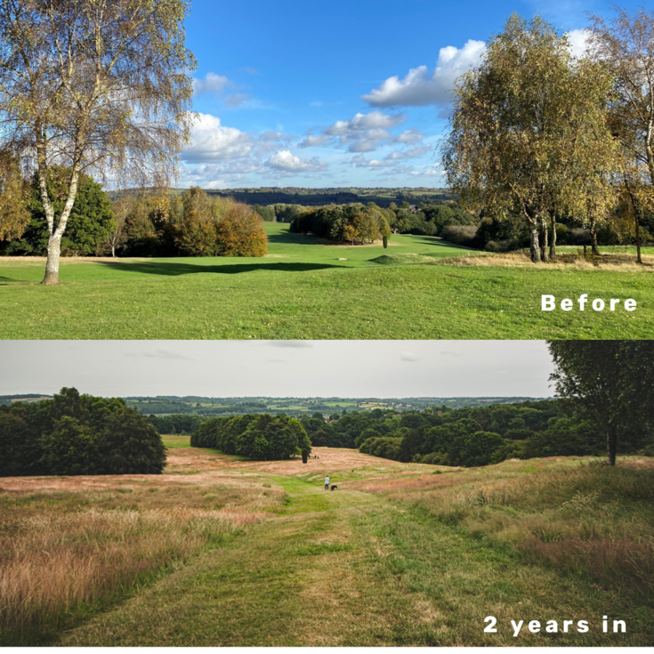 Rewilding Allestree Park | Derbyshire Wildlife Trust