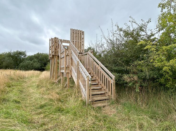 Bridging the gap: Willington wildlife has got visitors walking in ...