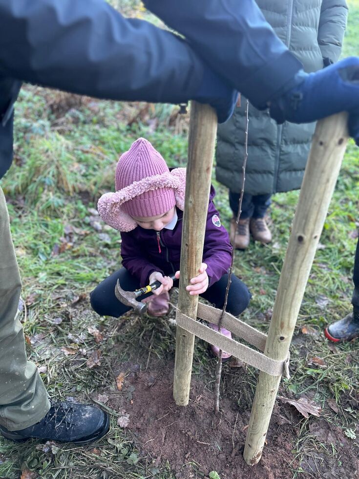 Community Groups give park a new buzz with Tree for a Tee | Derbyshire ...