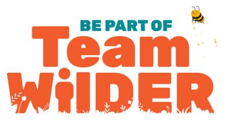 Team Wilder | Derbyshire Wildlife Trust